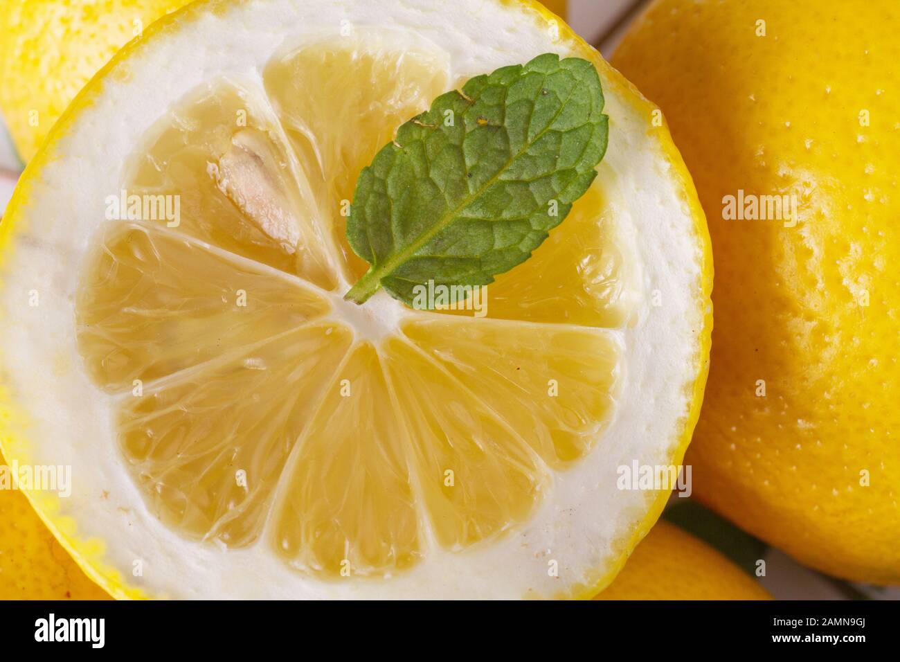 Mint leaf close up hi-res stock photography and images - Alamy