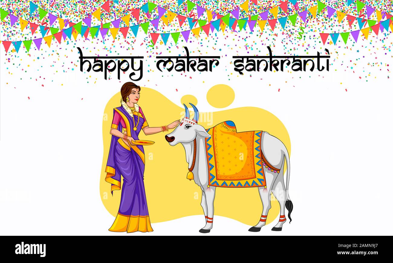 Pongal Cow High Resolution Stock Photography and Images - Alamy