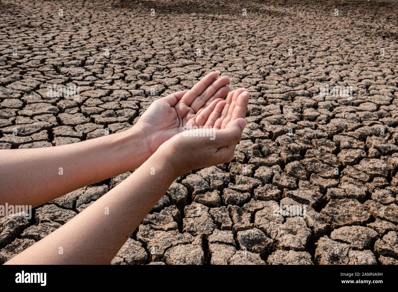 Lady hand waiting for rainwater, Cracked and dry soil in arid areas ...