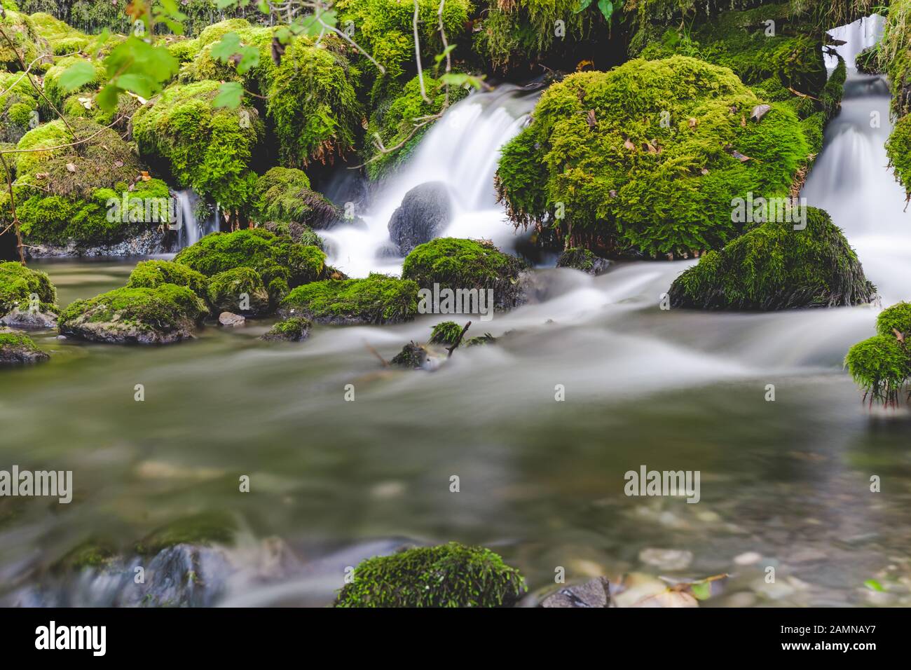 Forest brook mountain stream between mossy rocks Stock Photo - Alamy