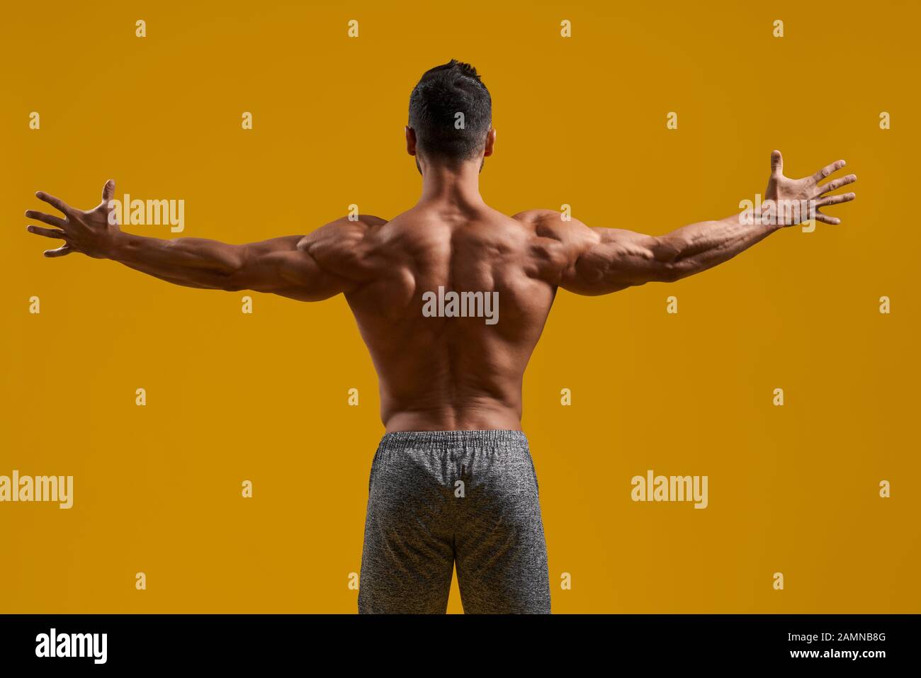 Back view of shirtless bodybuilder with perfect biceps spreading ...