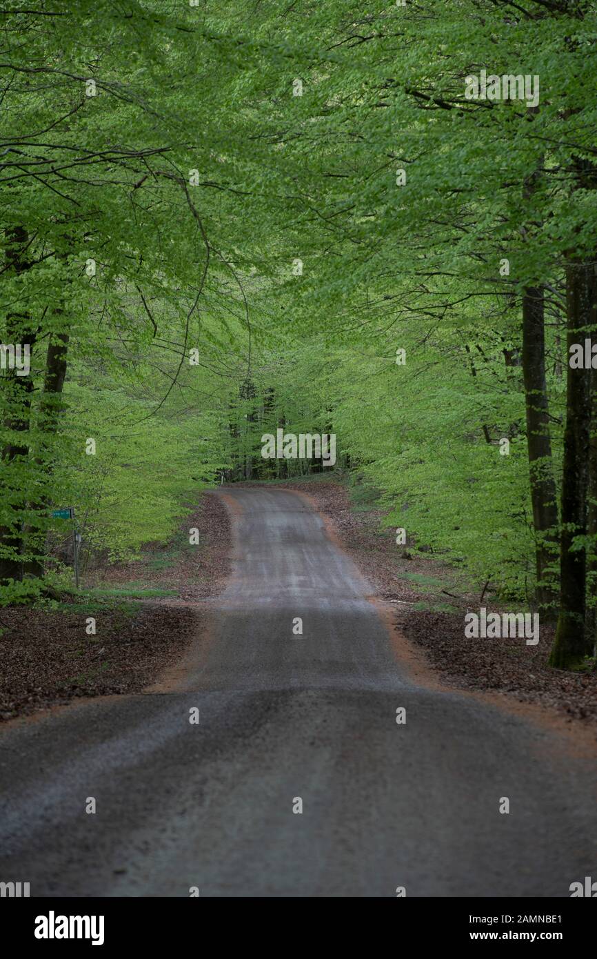 Scaia hi-res stock photography and images - Alamy