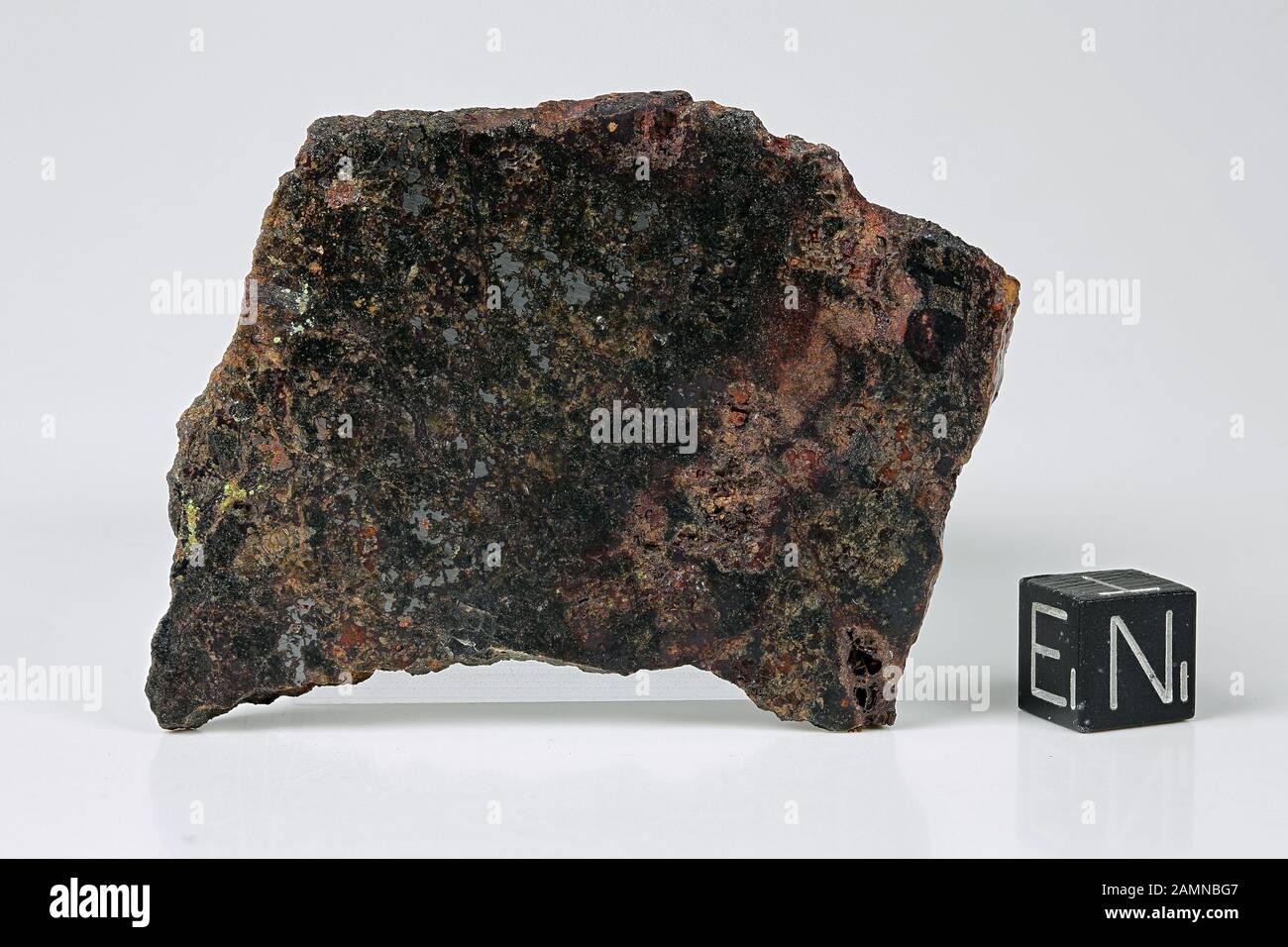 BONDOC – Found 1956, Bondoc Peninsula, Luzon, Philippines. Mesosiderite ...