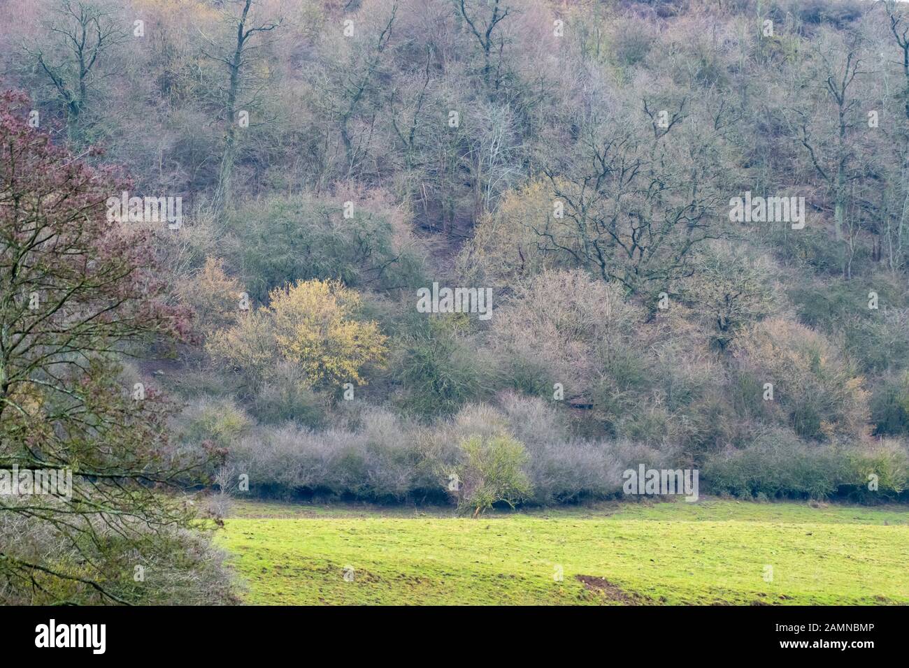 Alder slope hi-res stock photography and images - Alamy
