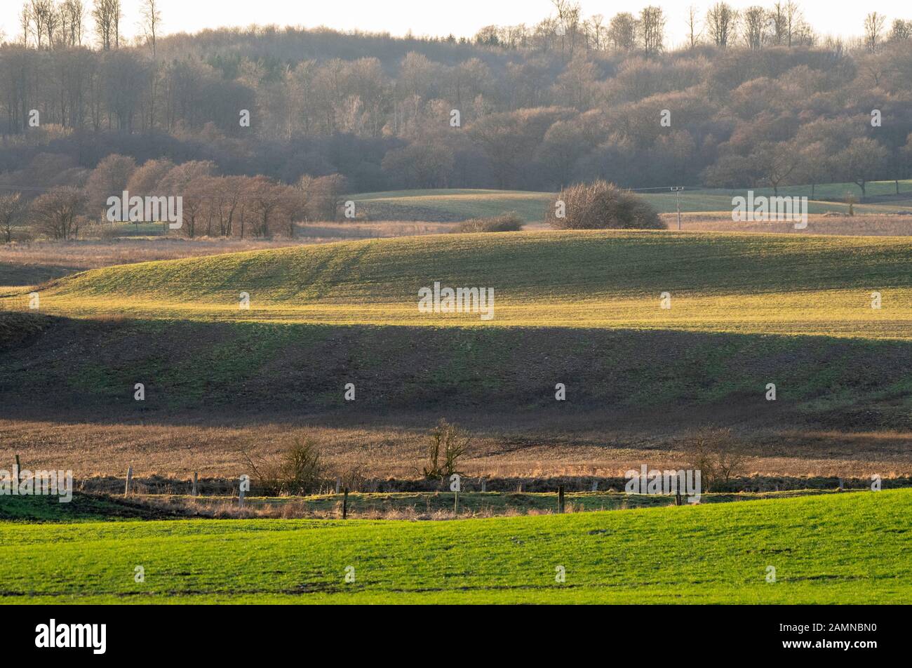 Hilly landscape with fields and deciduous forest, Scania Sweden Stock ...