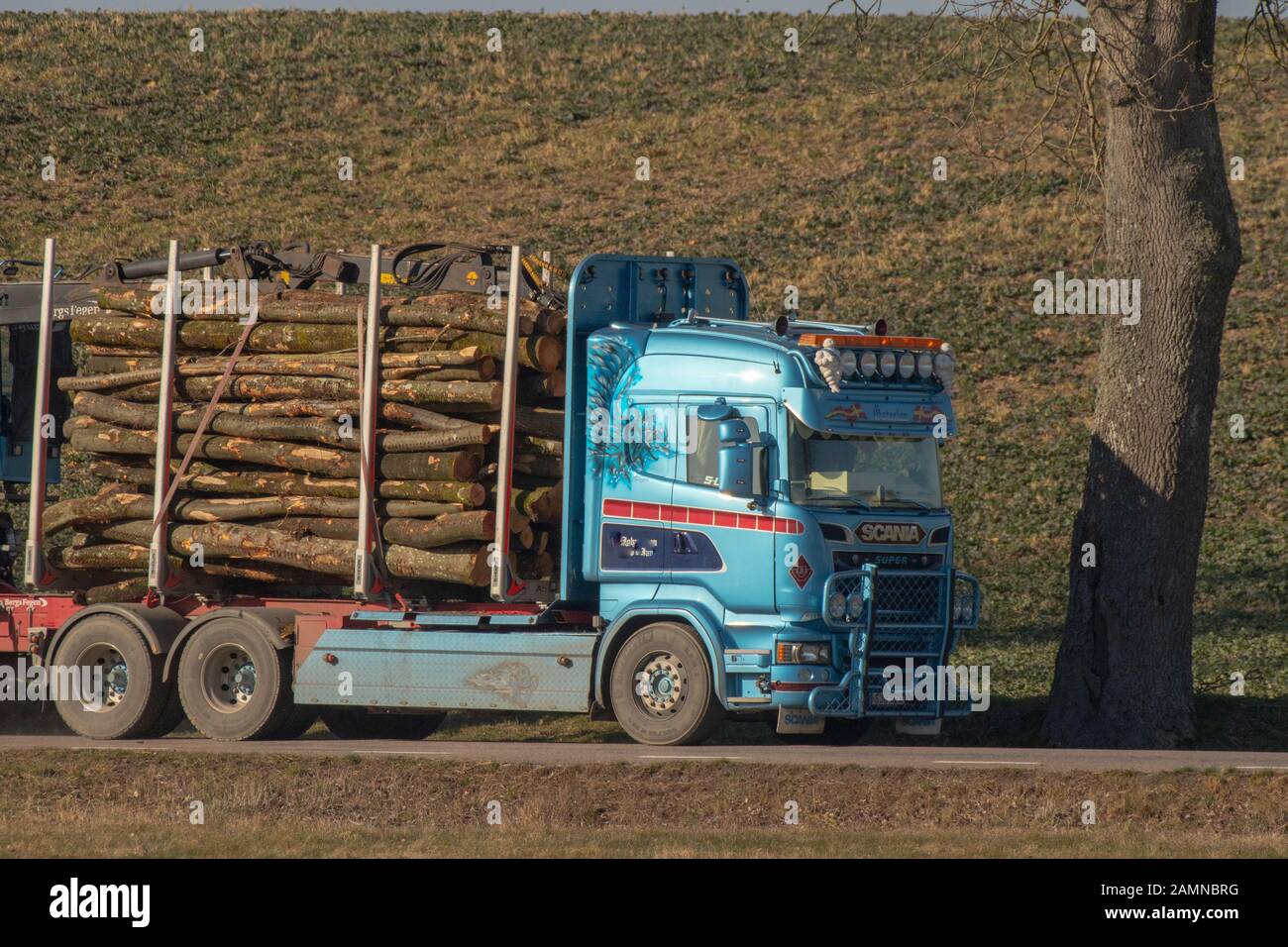 Special lorry loaded with timber ,Scania Sweden Stock Photo - Alamy