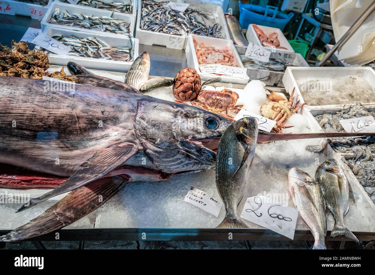 Sword Fish High Resolution Stock Photography and Images - Alamy