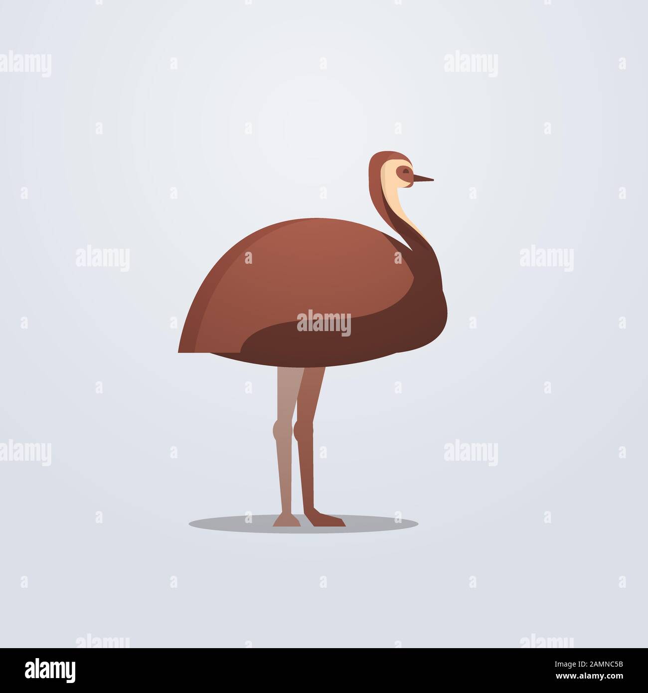 ostrich icon cute cartoon wild animal symbol with shadow wildlife ...
