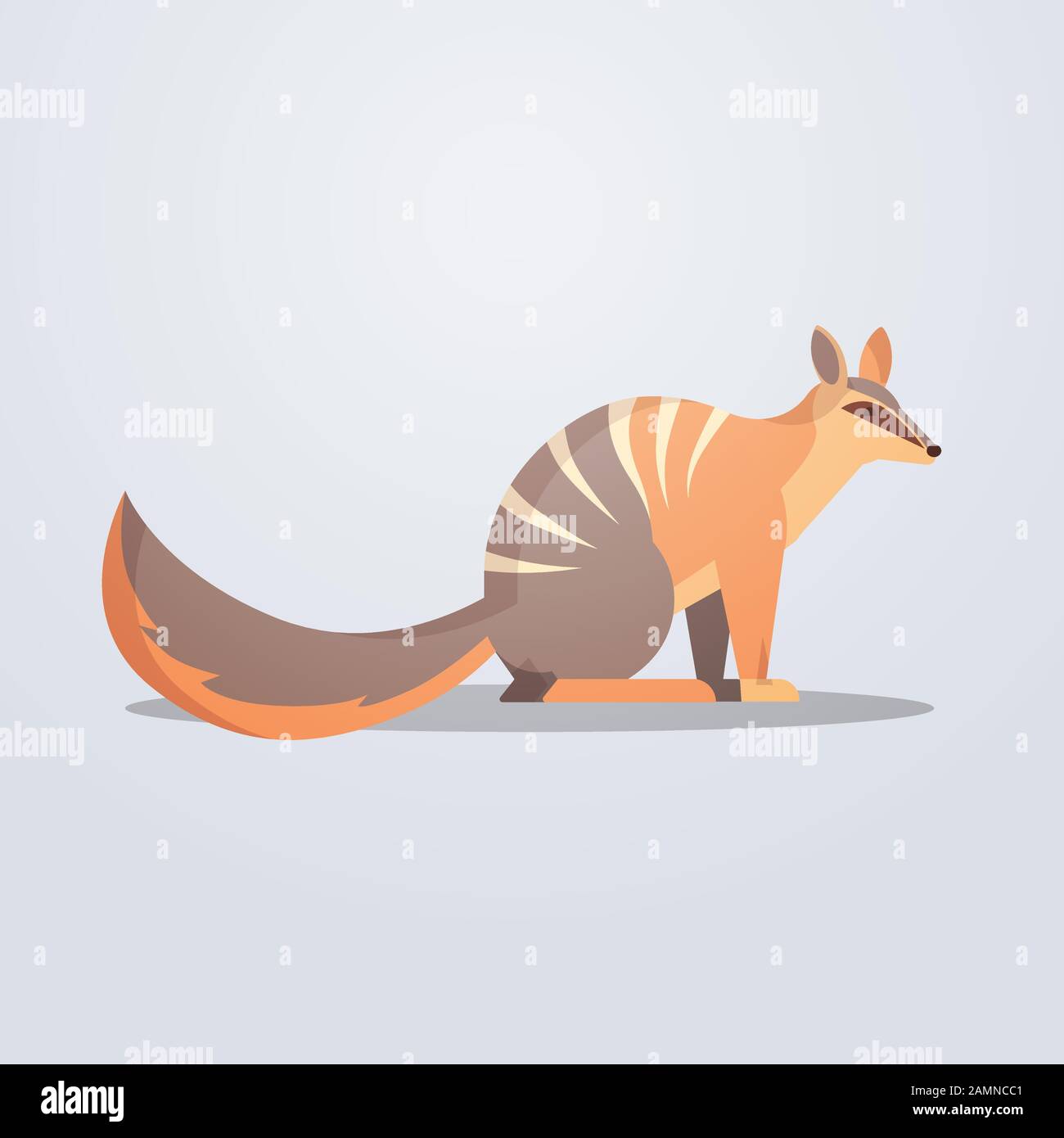 numbat icon cute cartoon wild animal symbol with shadow wildlife ...