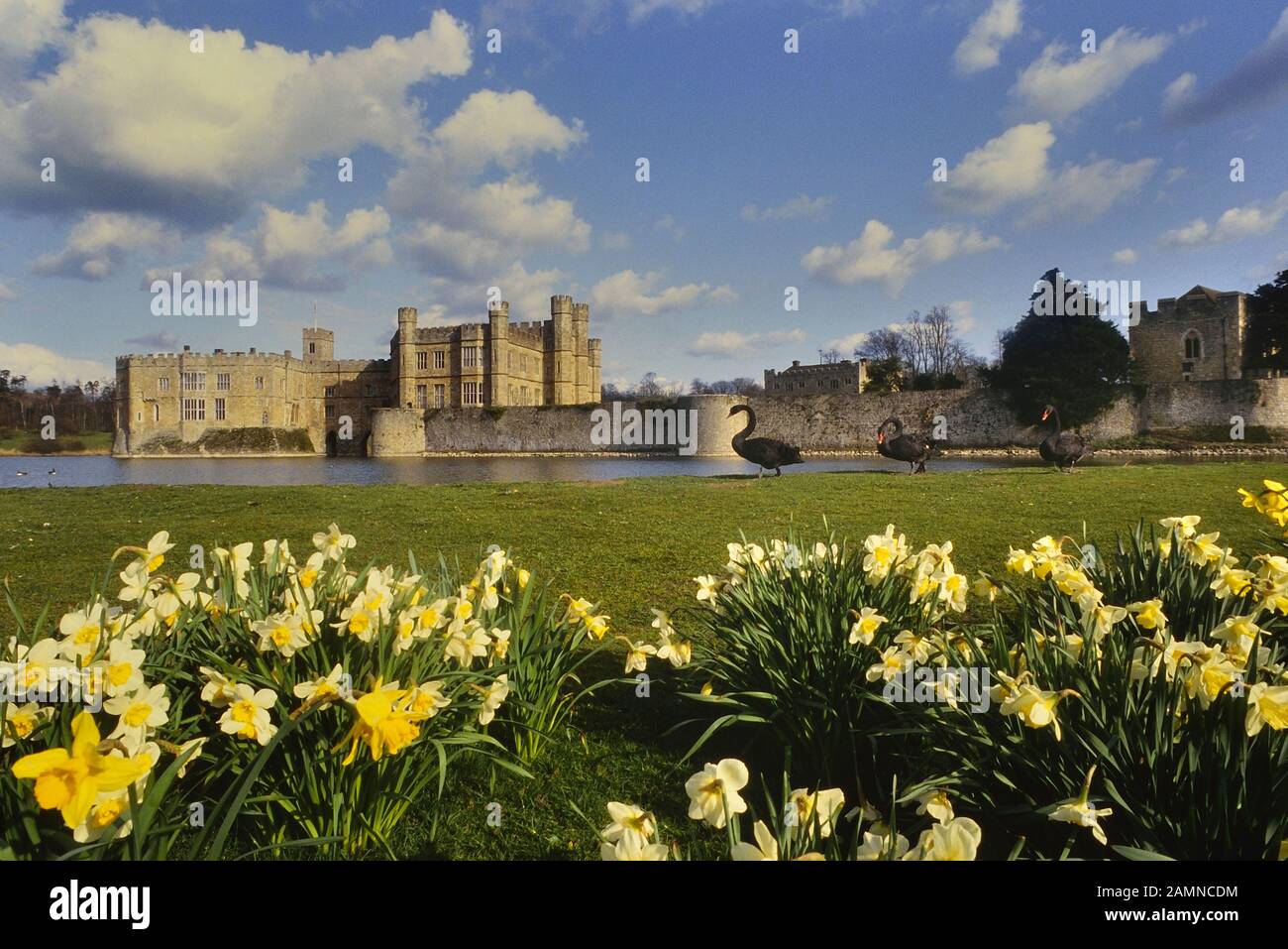 Springtime at Leeds Castle. Kent. England. UK Stock Photo - Alamy