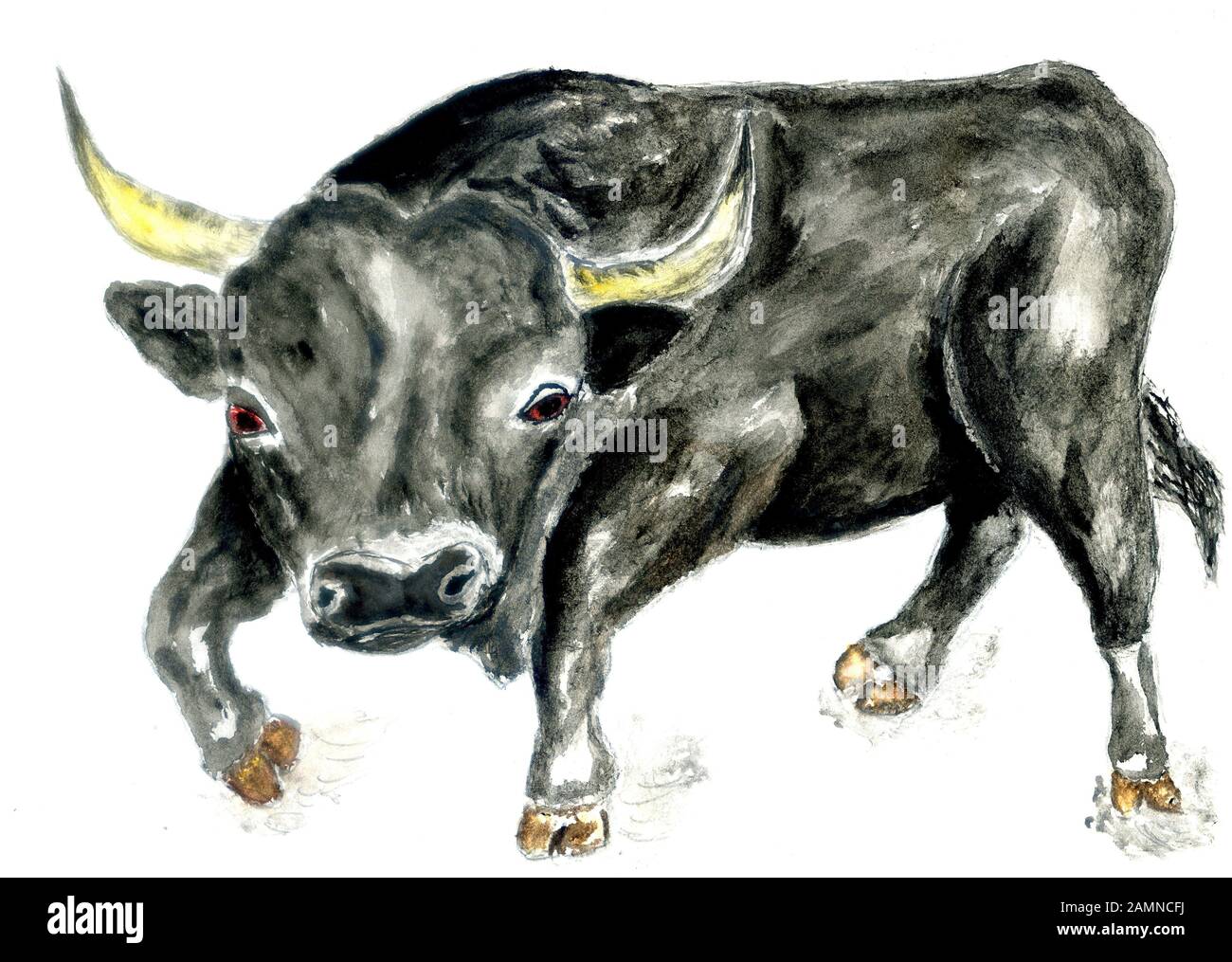Watercolor illustration of black bull hand drawn design Stock Photo - Alamy