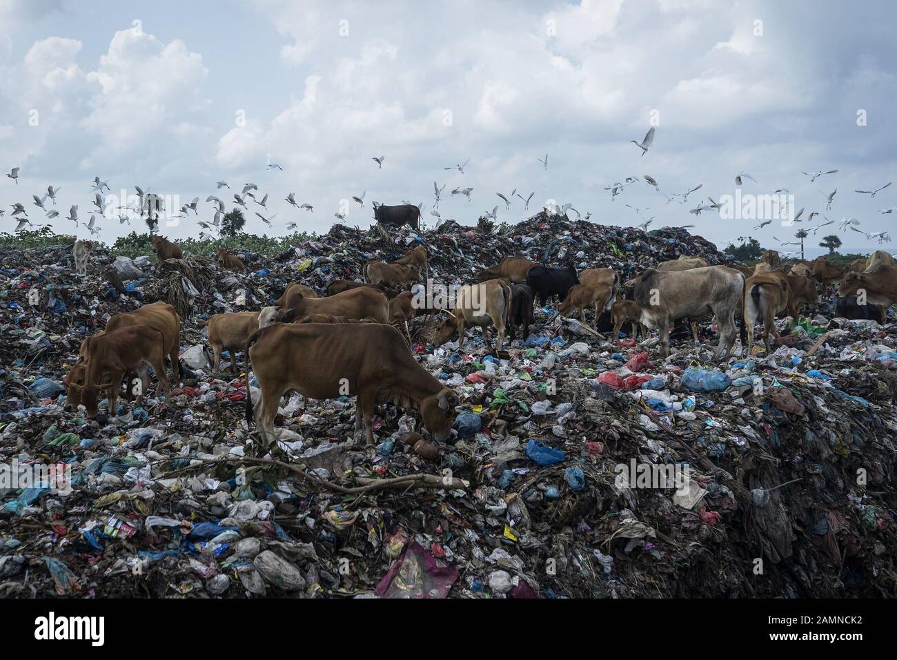 Poorly managed hi-res stock photography and images - Alamy