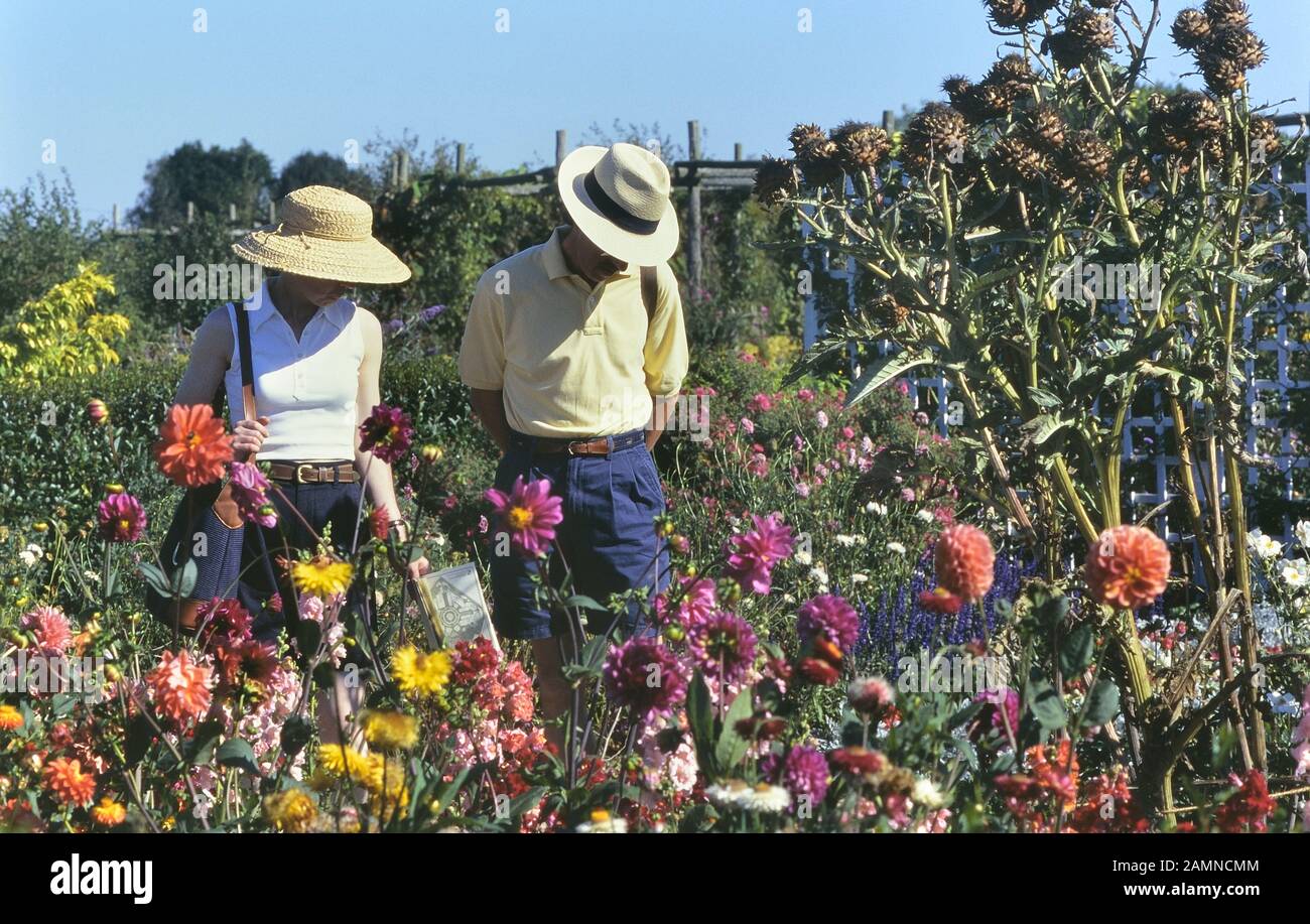 Broadview gardens, Hadlow College, Kent, England, UK Stock Photo - Alamy