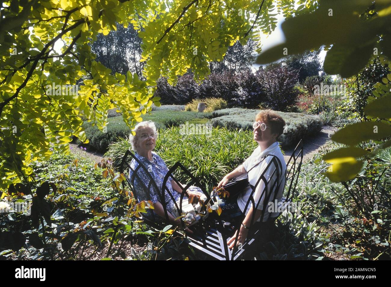 Broadview gardens, Hadlow College, Kent, England, UK Stock Photo - Alamy