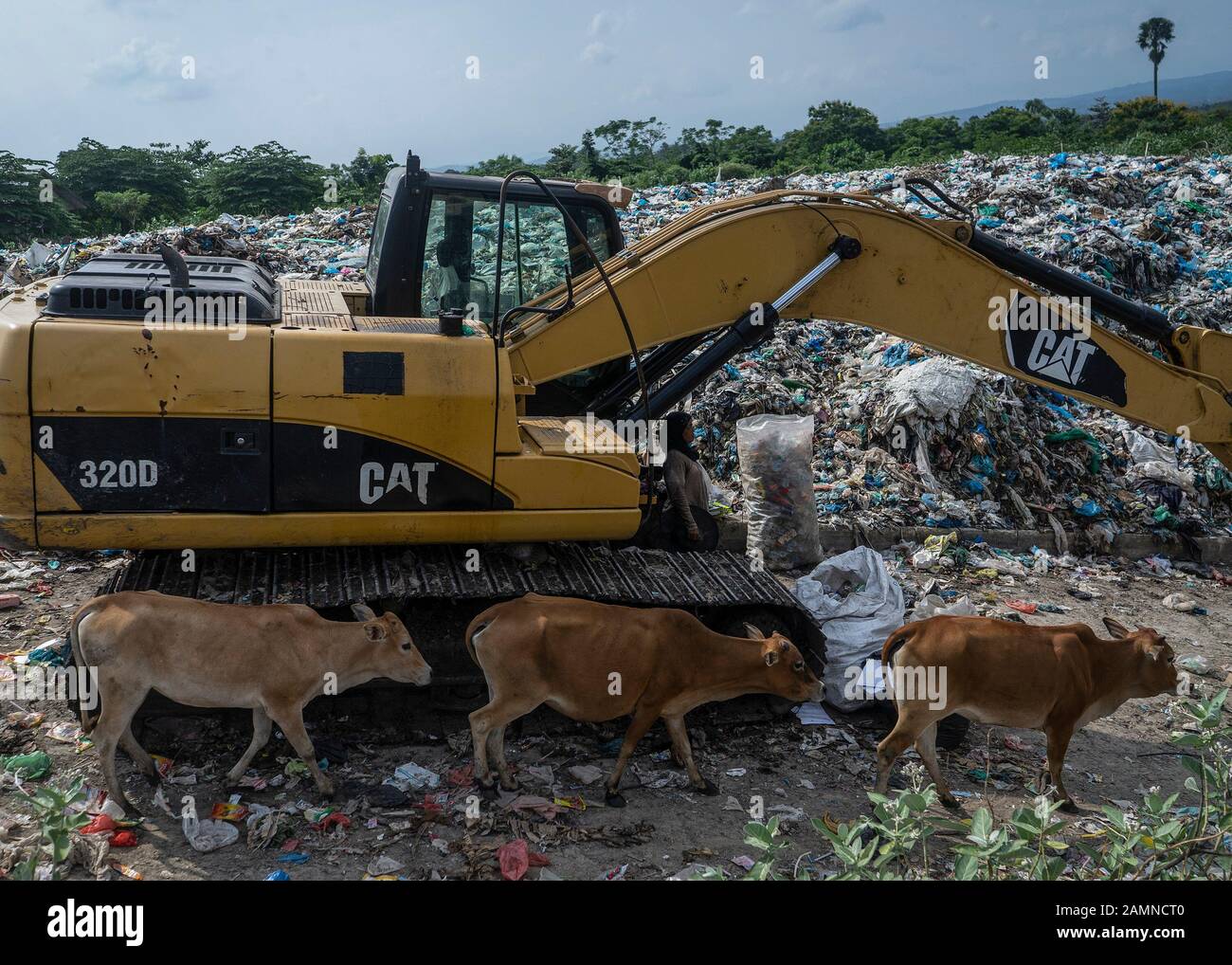 Poorly animals hi-res stock photography and images - Alamy