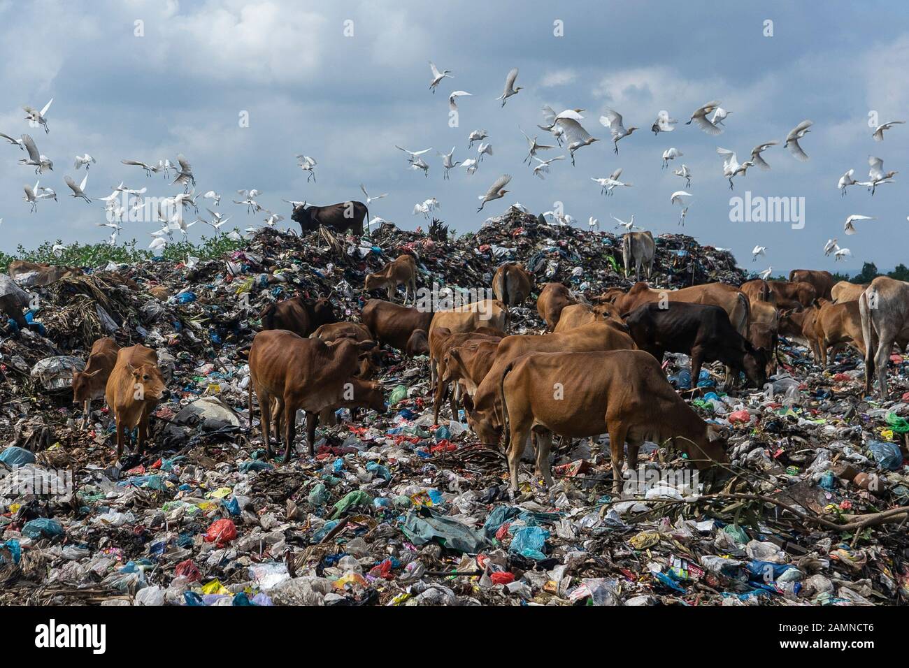 Poorly managed hi-res stock photography and images - Alamy