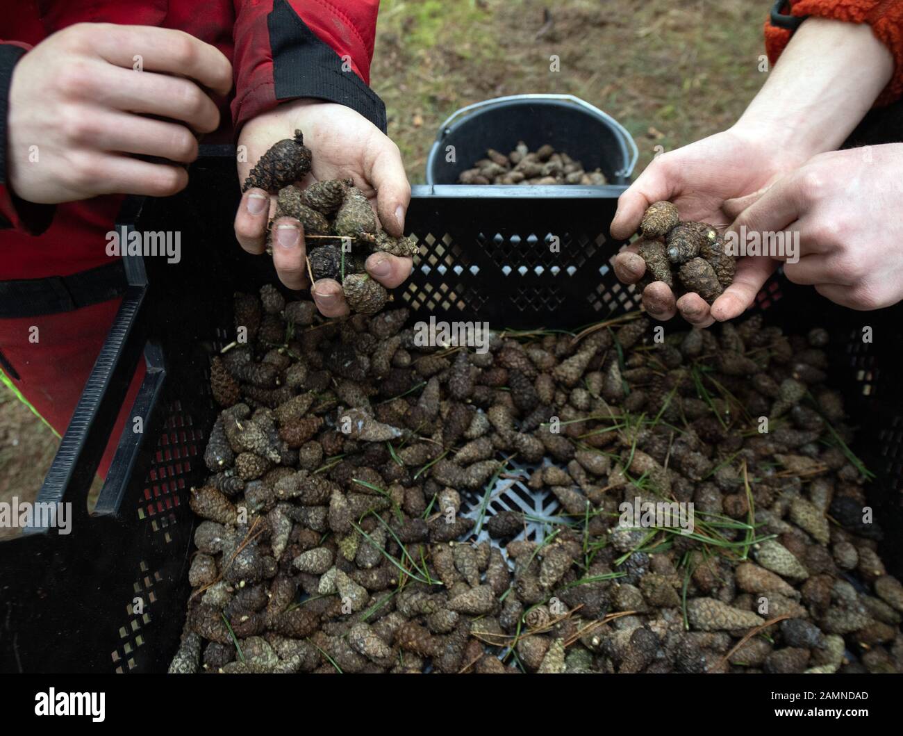 14 January 2020, Brandenburg, Frankendorf: Simon Reißig and Iven Stock ...