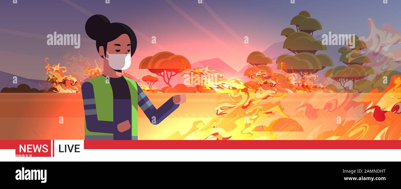 breaking news reporter in mask live brodcasting bush fire dry woods ...