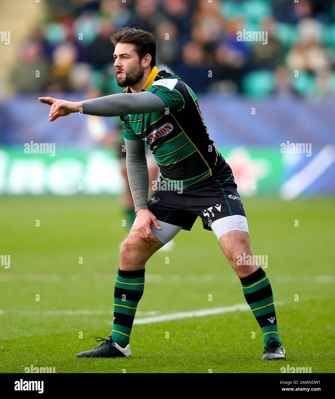 Northampton Saints' Henry Taylor Stock Photo - Alamy