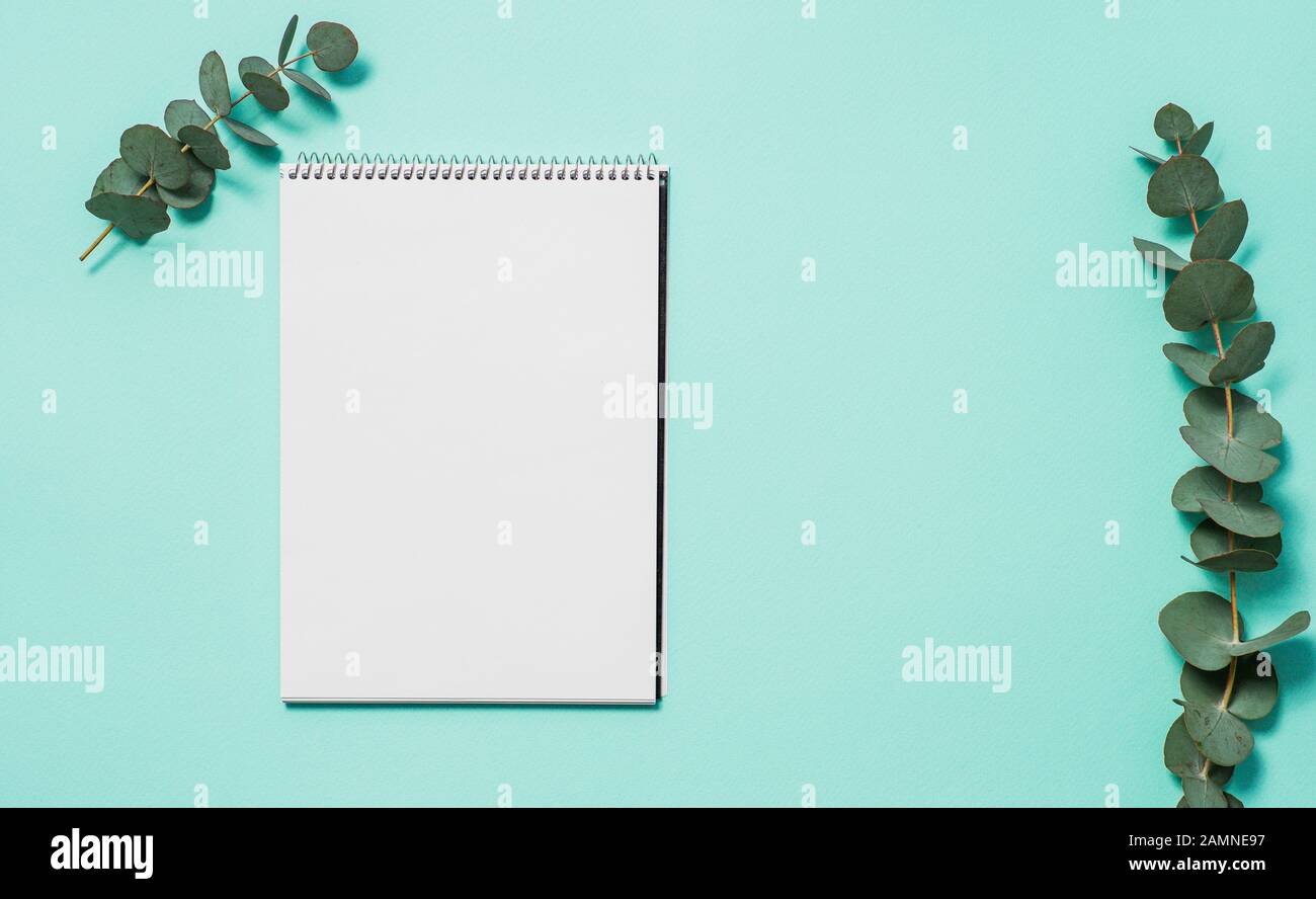 Blank notebook and eucalyptus on blue background. Empty notebook paper ...