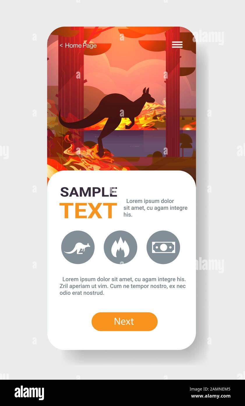 jumping wild animal kangaroo forest fires dangerous wildfire bush fire ...