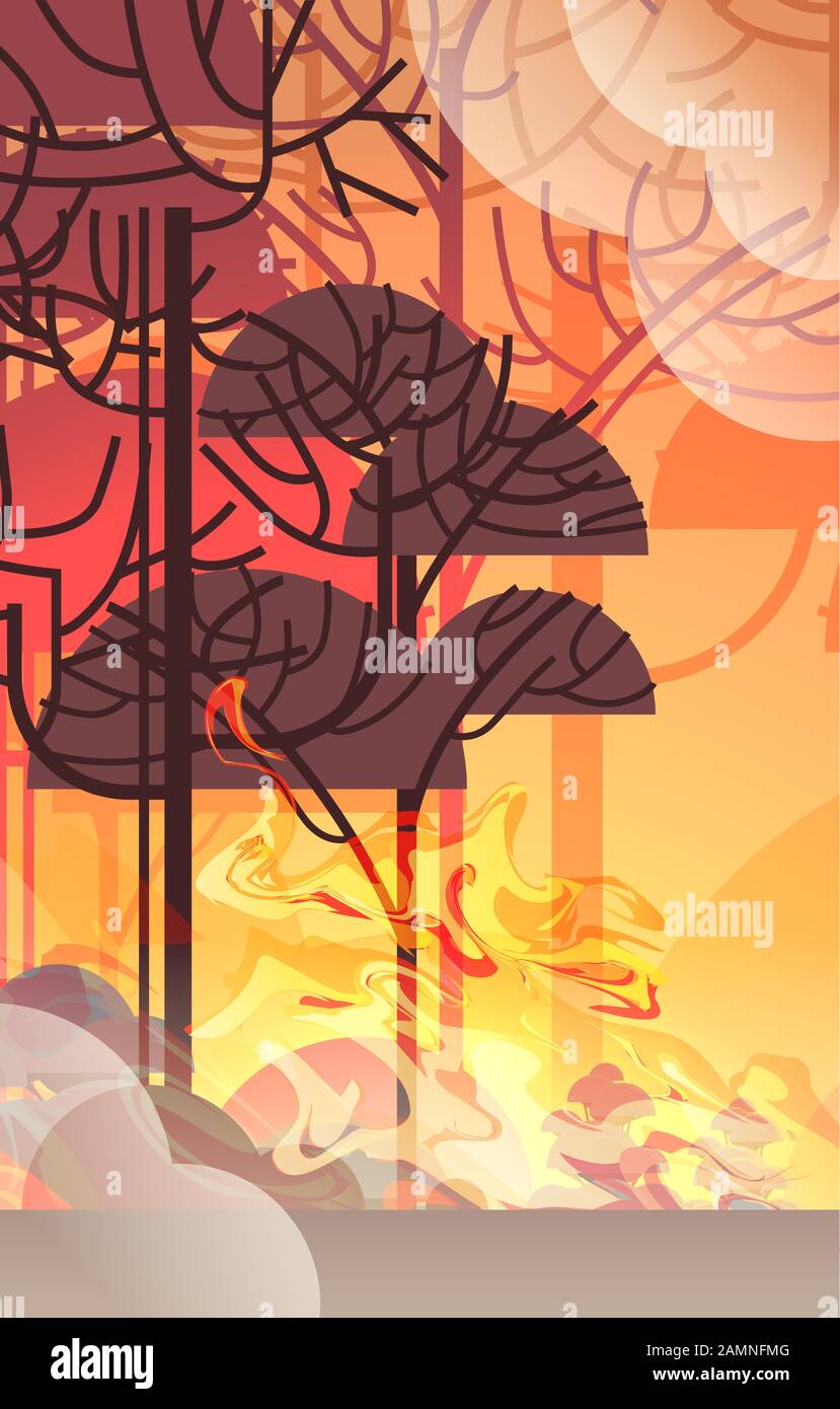 dangerous wildfire bush fire development dry woods burning trees global ...