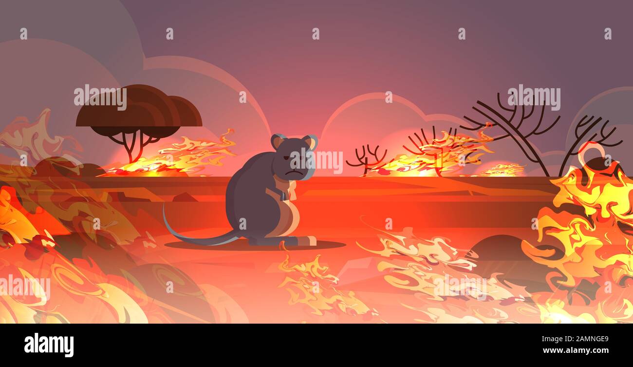 Dead animals in australia Stock Vector Images - Alamy