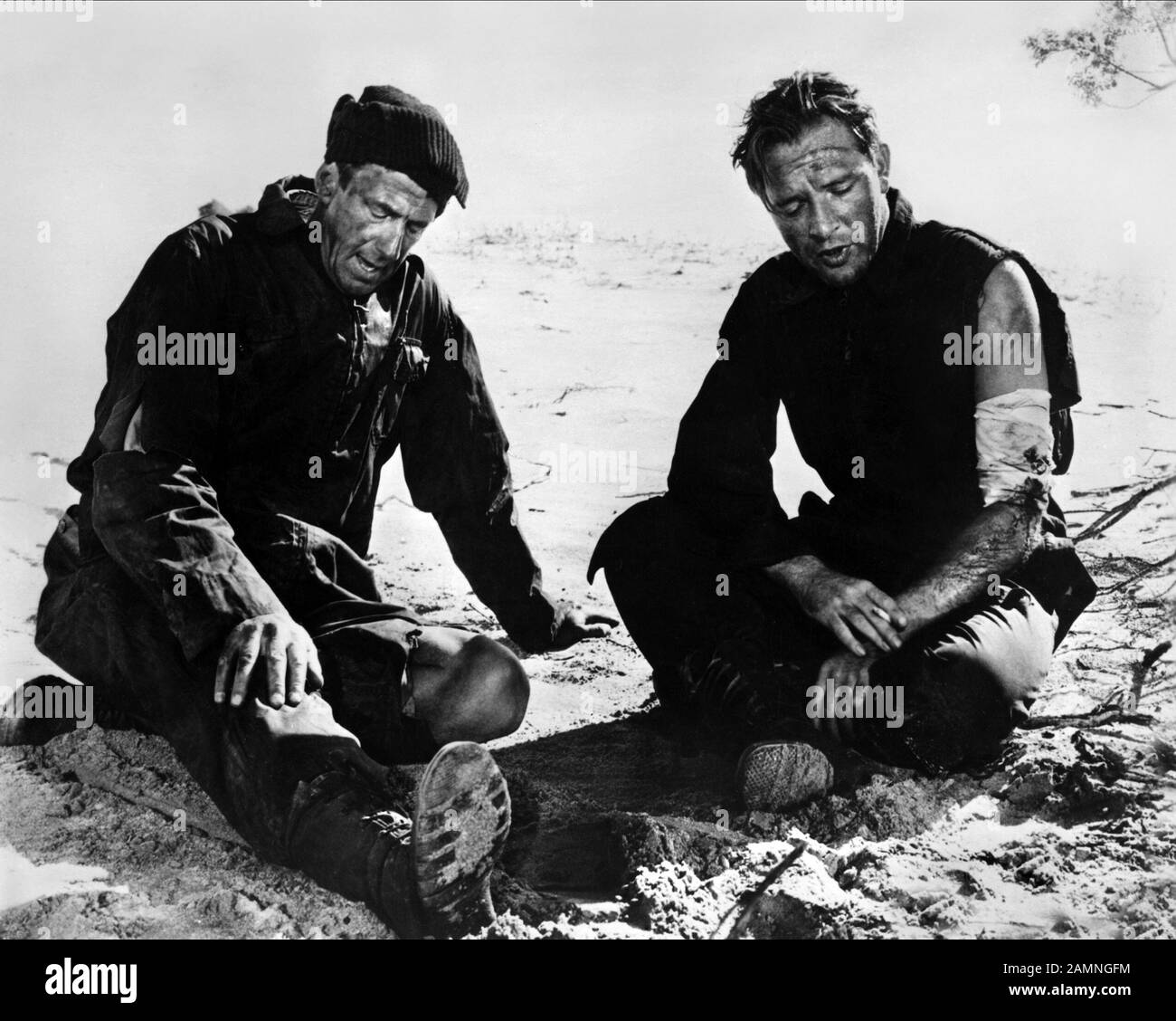 Desert rats uniform hi-res stock photography and images - Alamy