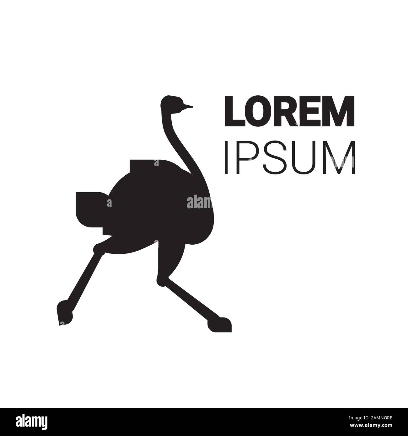 Dead emu Cut Out Stock Images & Pictures - Alamy