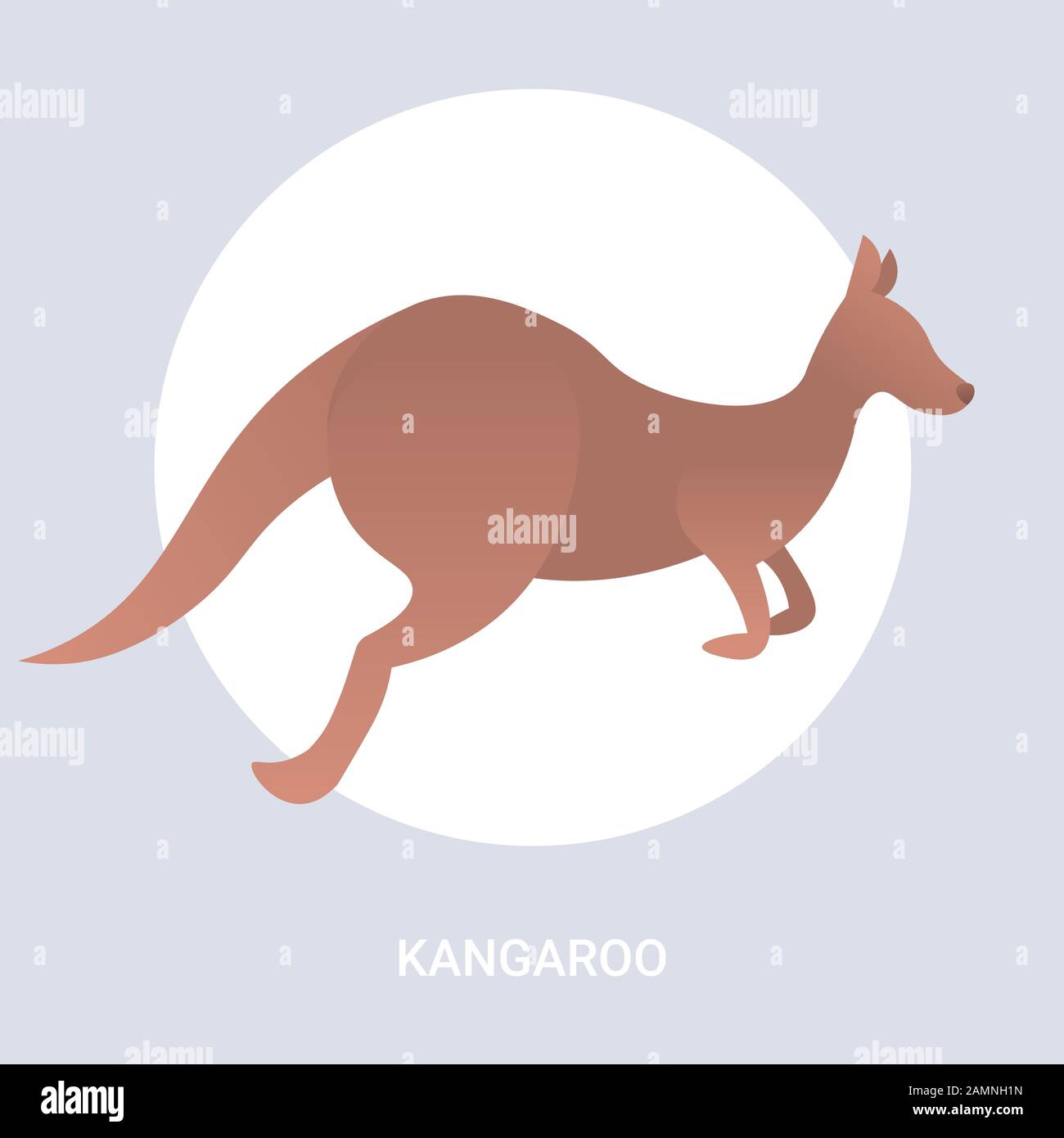 kangaroo icon cartoon endangered wild australian animal symbol wildlife ...
