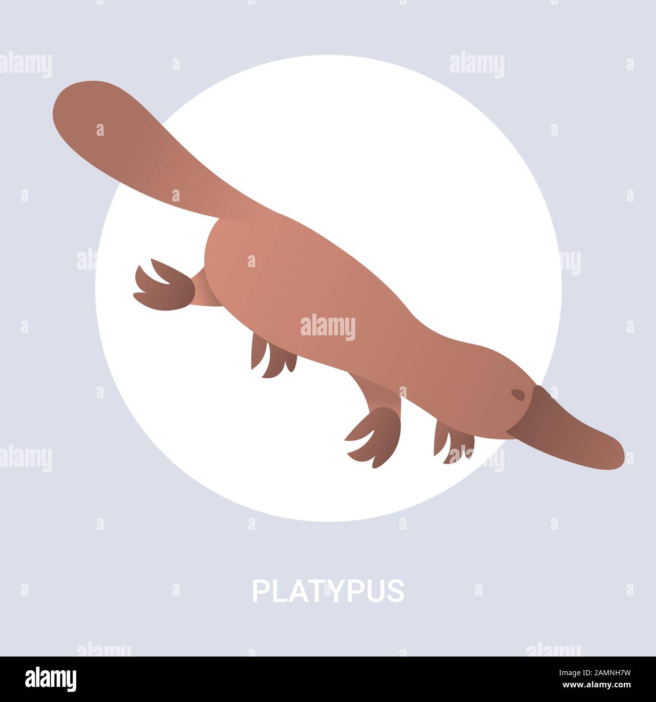 platypus icon cartoon endangered wild australian animal symbol wildlife ...