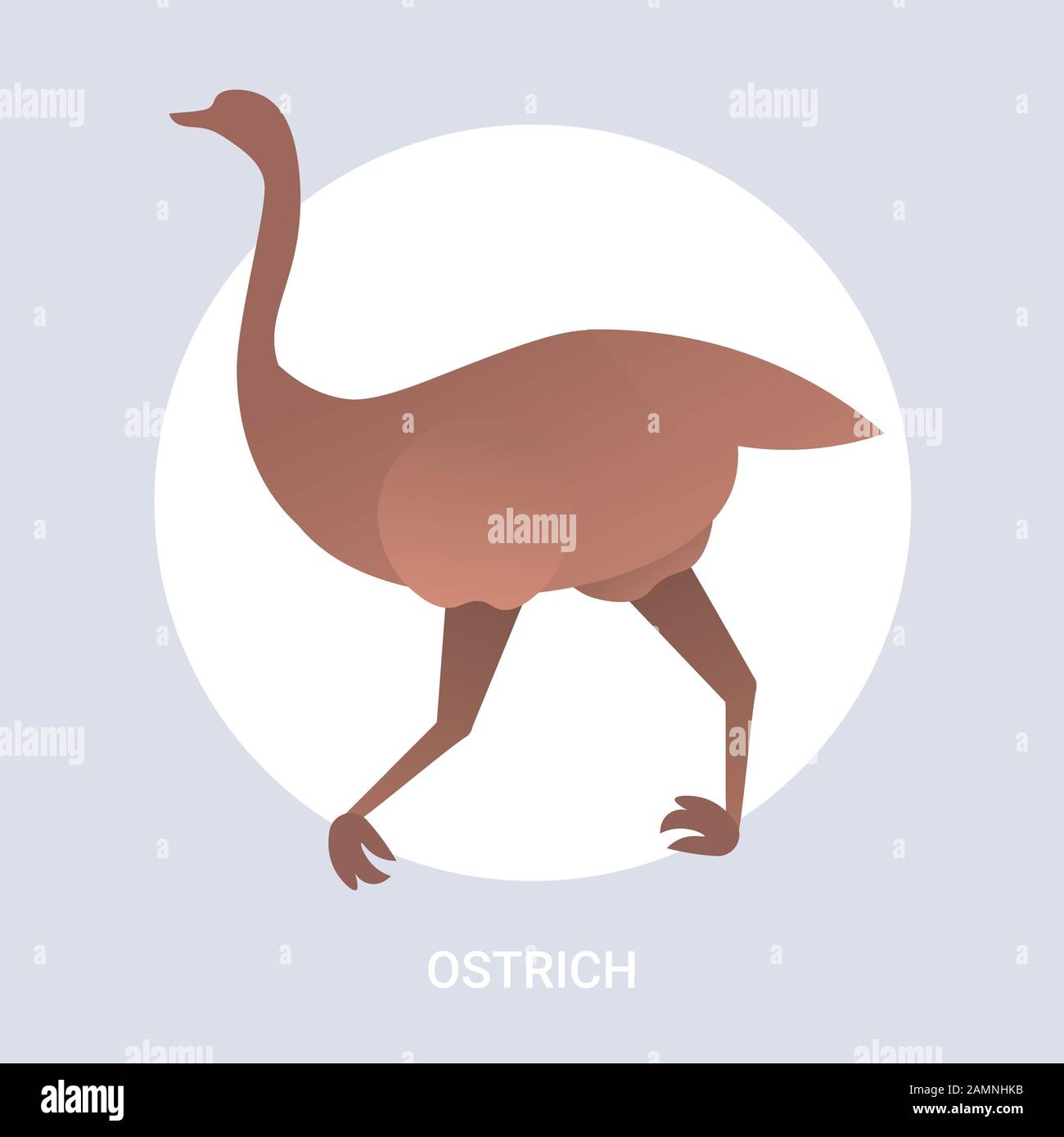 ostrich icon cartoon endangered wild animal symbol wildlife species ...