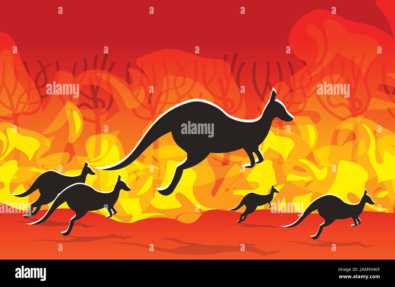 kangaroo running from forest fires in australia animals dying in ...