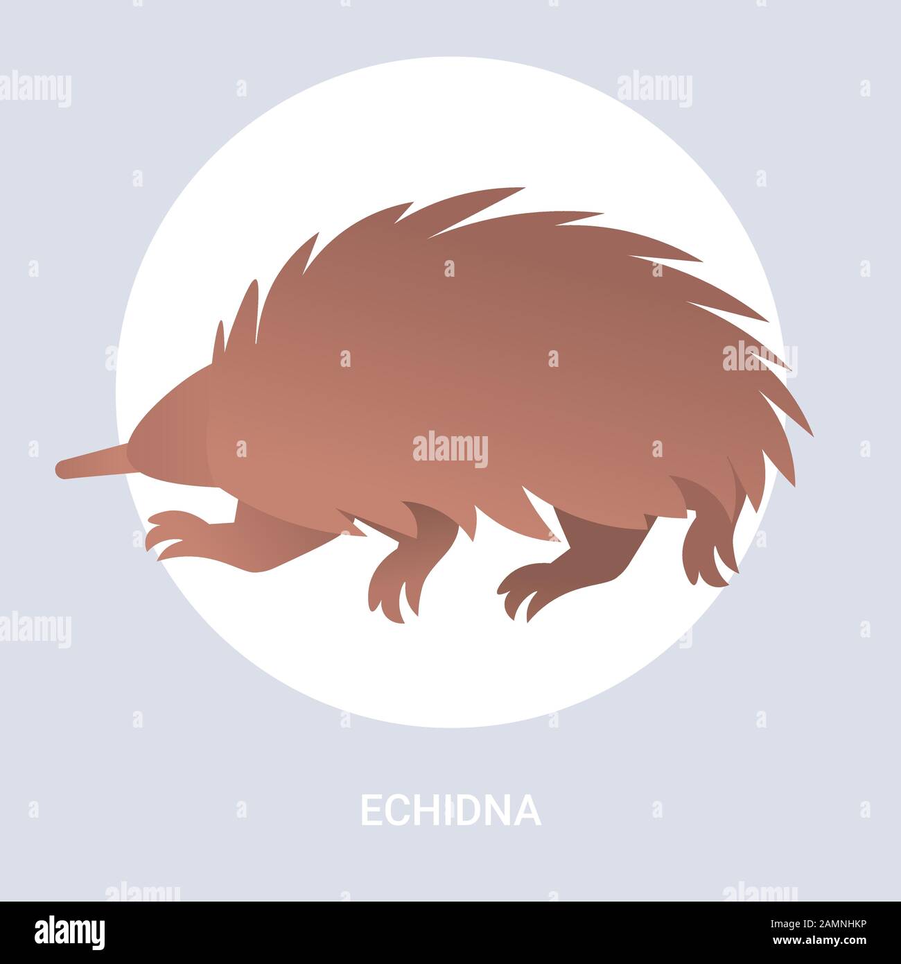 echidna icon cartoon endangered wild australian animal symbol wildlife ...
