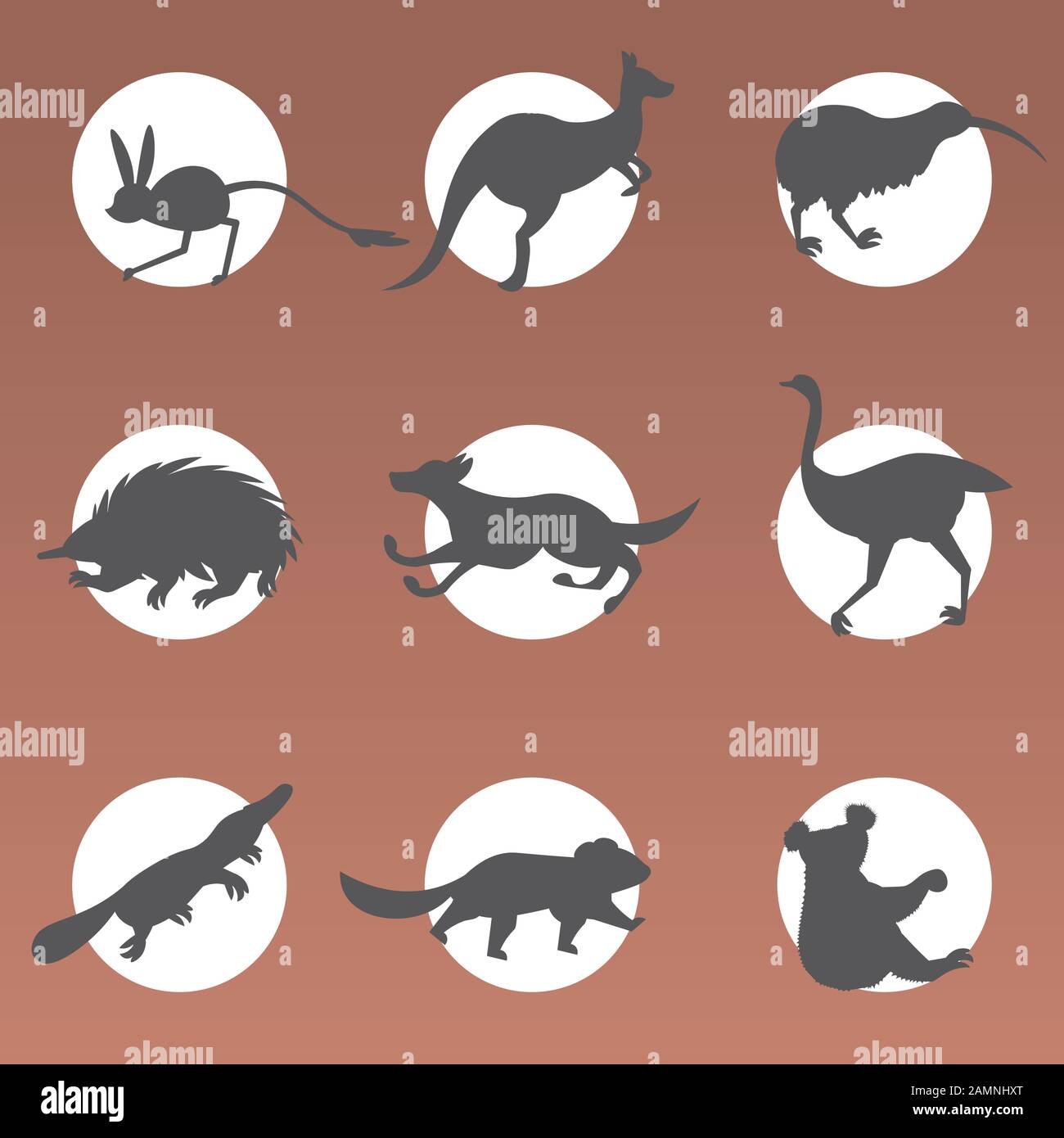 set cartoon endangered wild australian animals tasmanian devil echidna ...