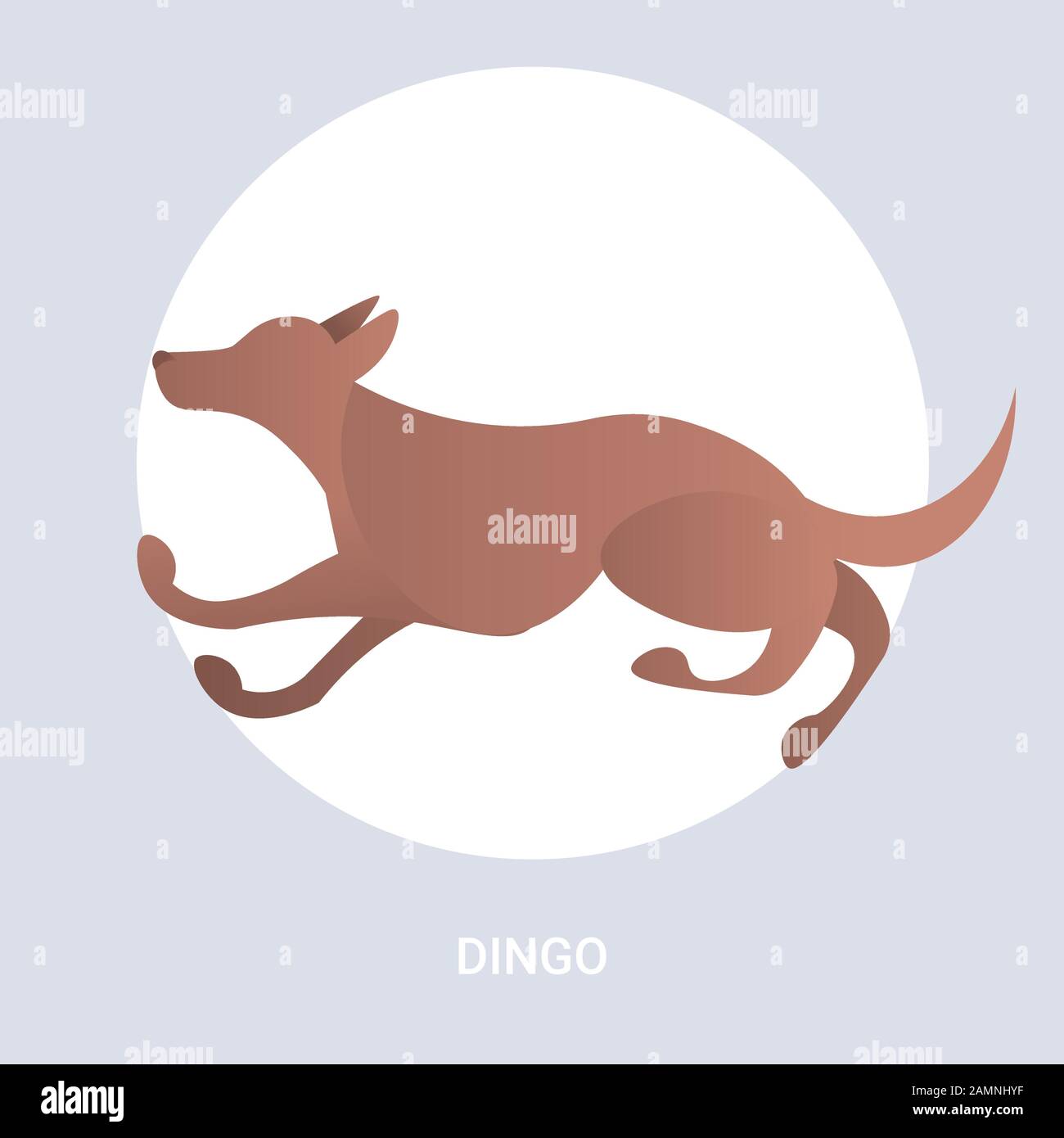 dingo icon cartoon endangered wild australian animal symbol wildlife ...