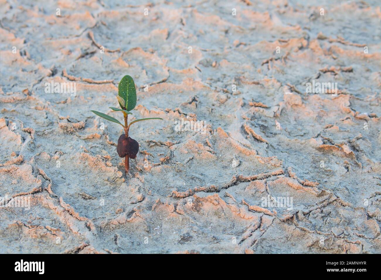 Disintegration texture hi-res stock photography and images - Alamy