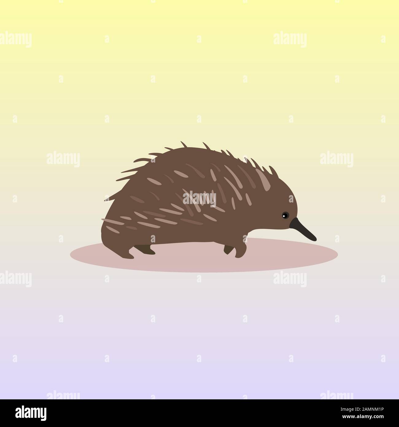 echidna icon cartoon endangered wild australian animal symbol wildlife ...