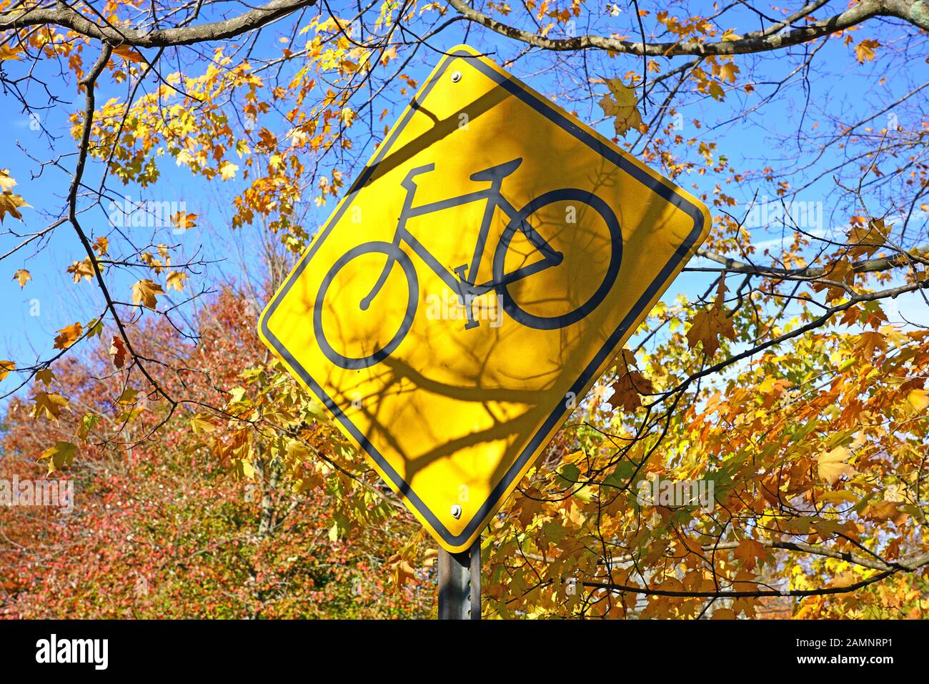 Yellow bike lane road sign on the street Stock Photo - Alamy