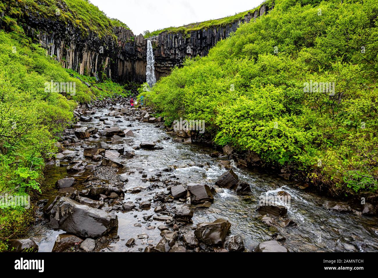 Svartifoss waterfall wide low angle view with basalt columns in ...