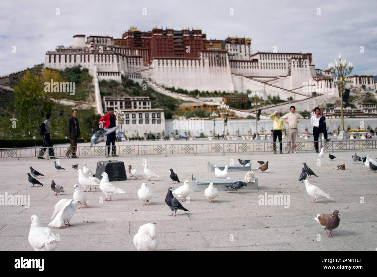 Potala place in Lhasa Tibet Stock Photo - Alamy