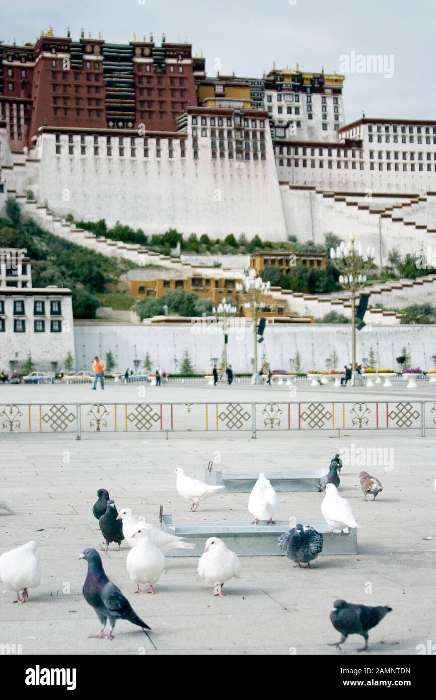 Potala place in Lhasa Tibet Stock Photo - Alamy