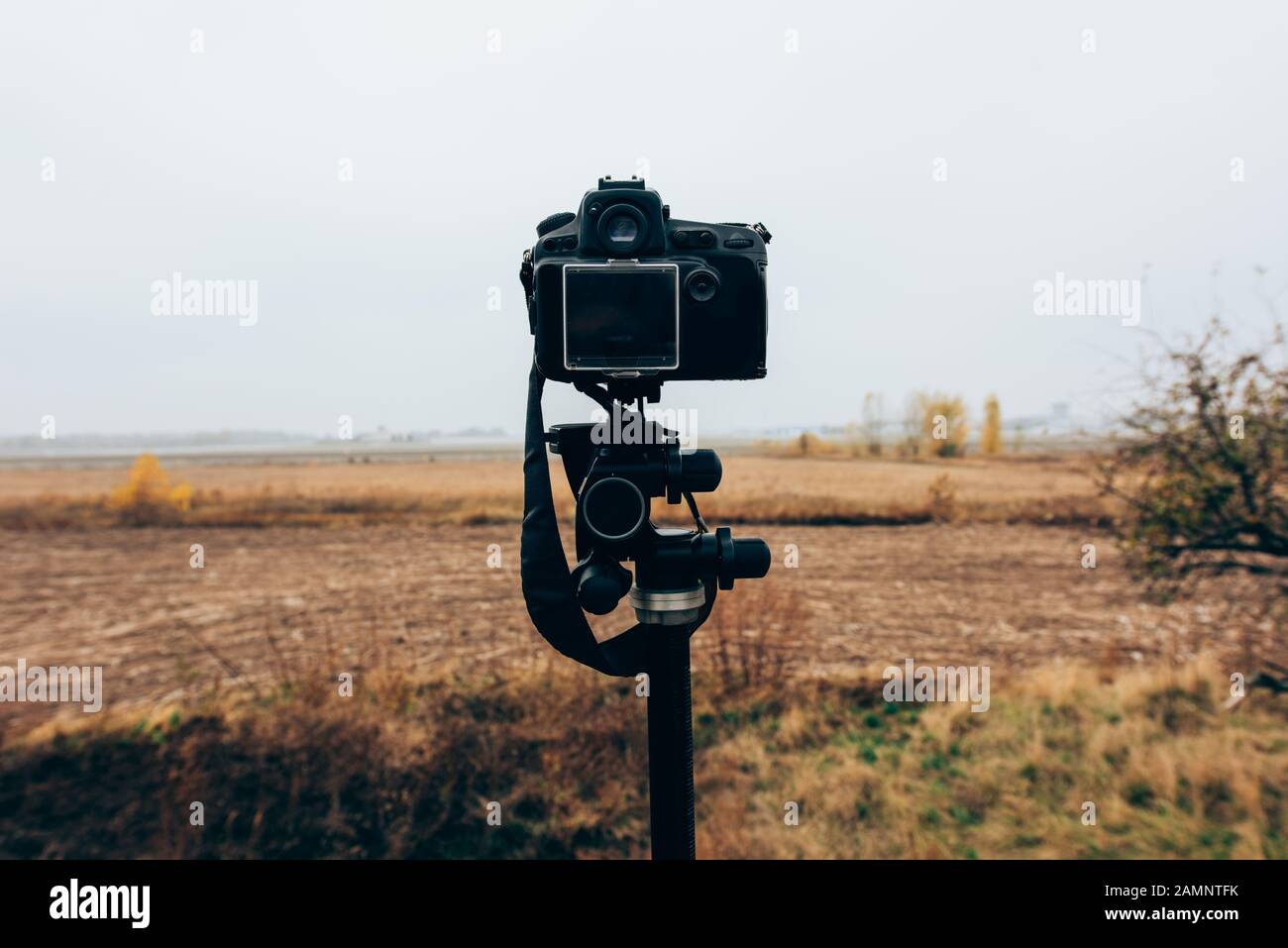 Selective focus of digital camera on tripod in grassy field Stock Photo ...