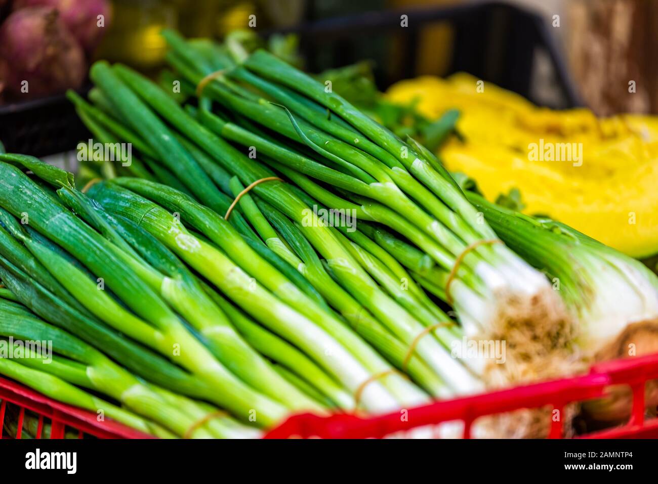 Closeup of pile of green onion stalks vibrant color on display farmers ...