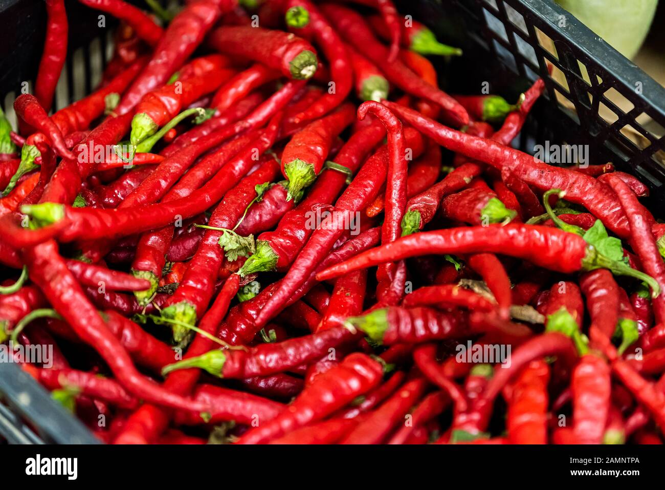 Closeup of many small raw vibrant colorful red color hot chili peppers ...