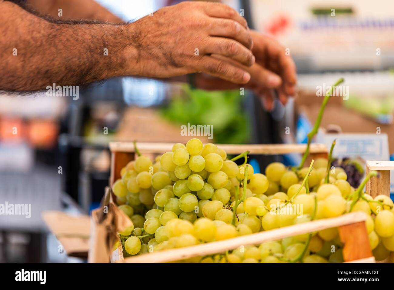 Man's hands vendor picking up placing green grapes in street market ...
