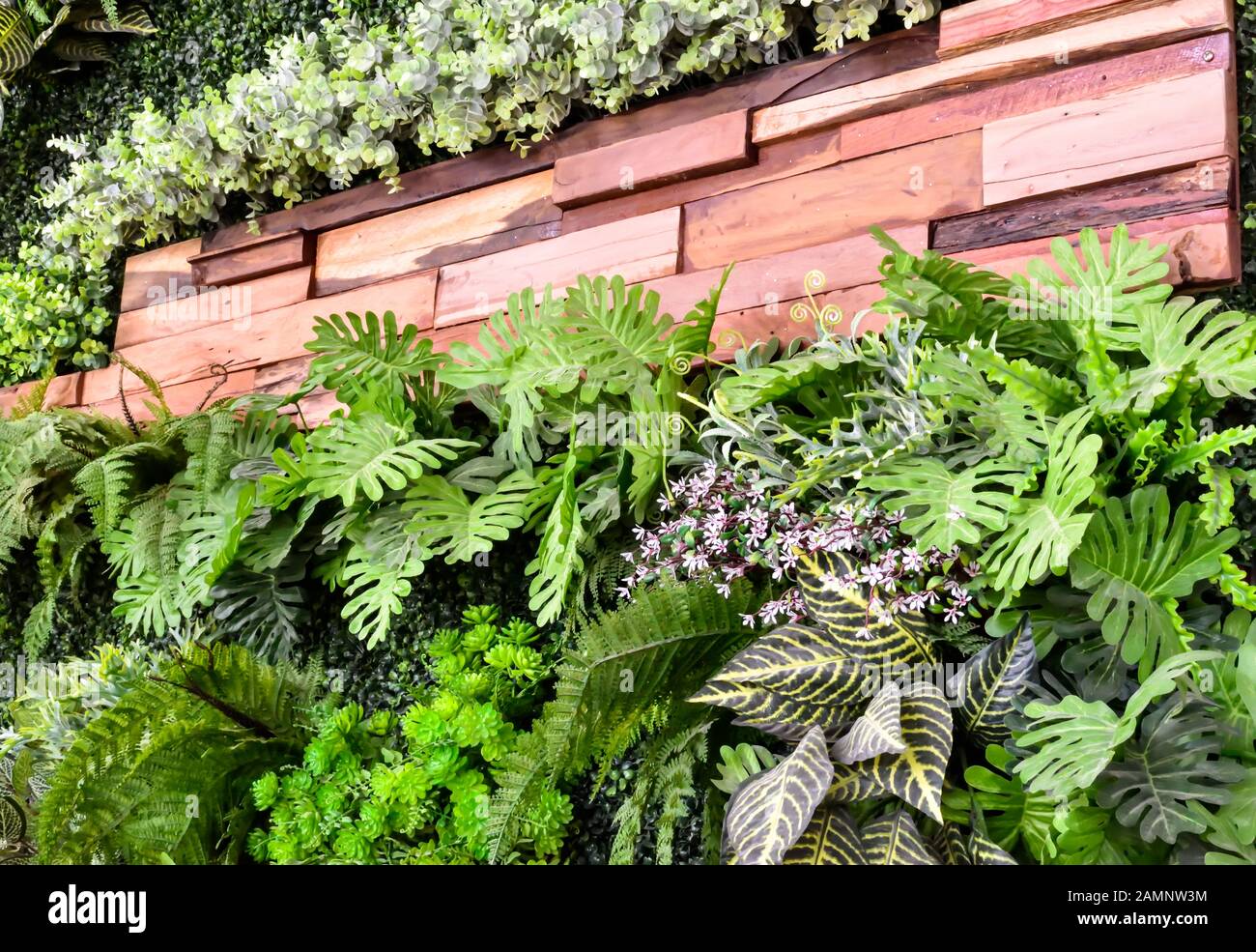The artificial tree was installed to make a wall Stock Photo - Alamy