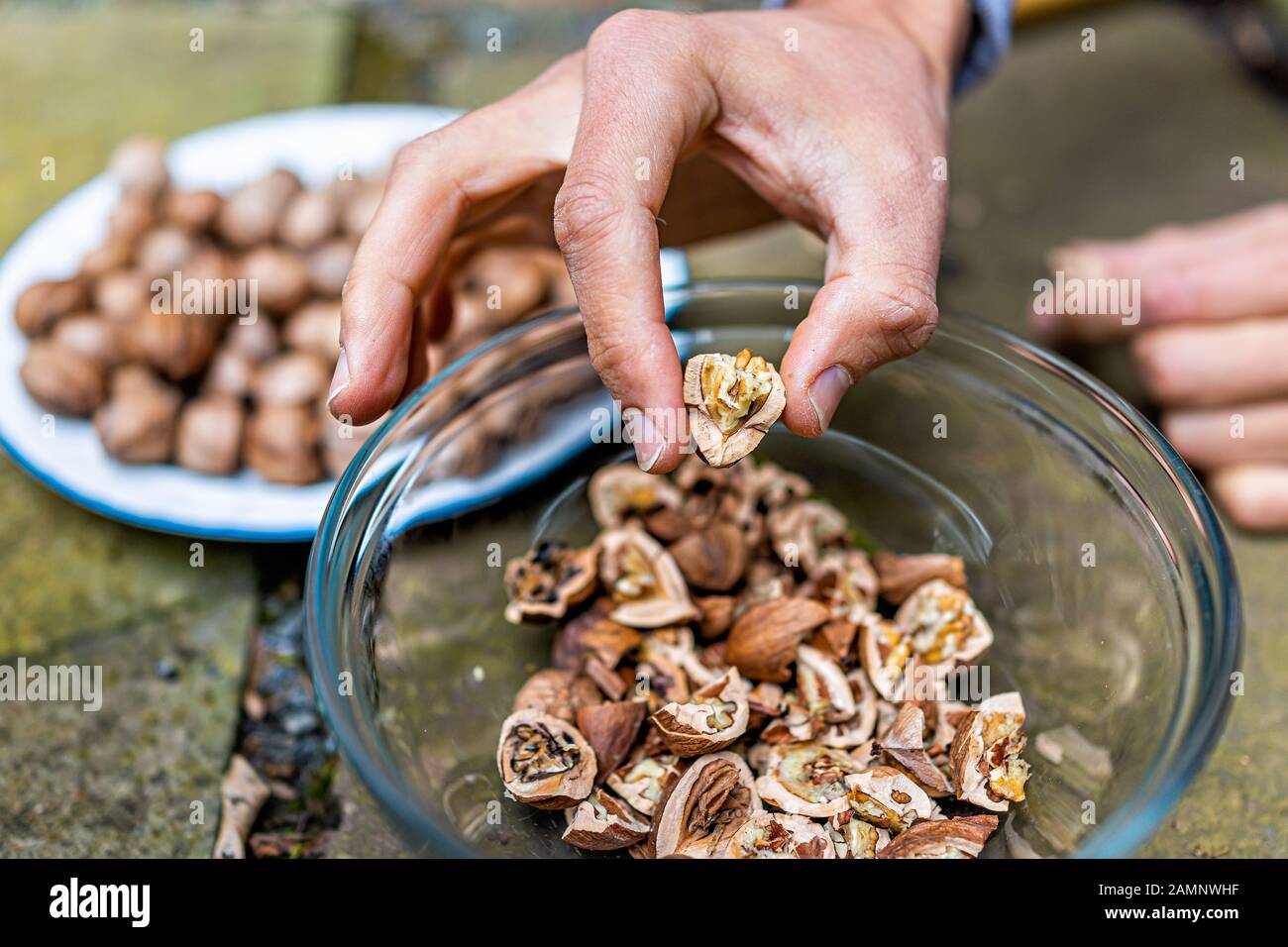 Pecan nuts in shells hi-res stock photography and images - Alamy