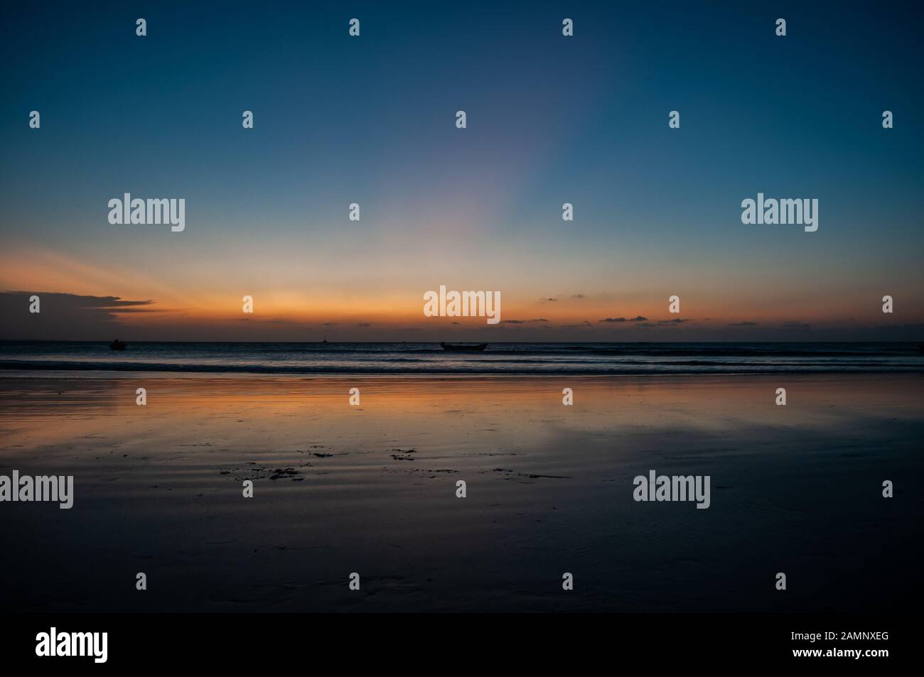 Nature of brazil hi-res stock photography and images - Alamy