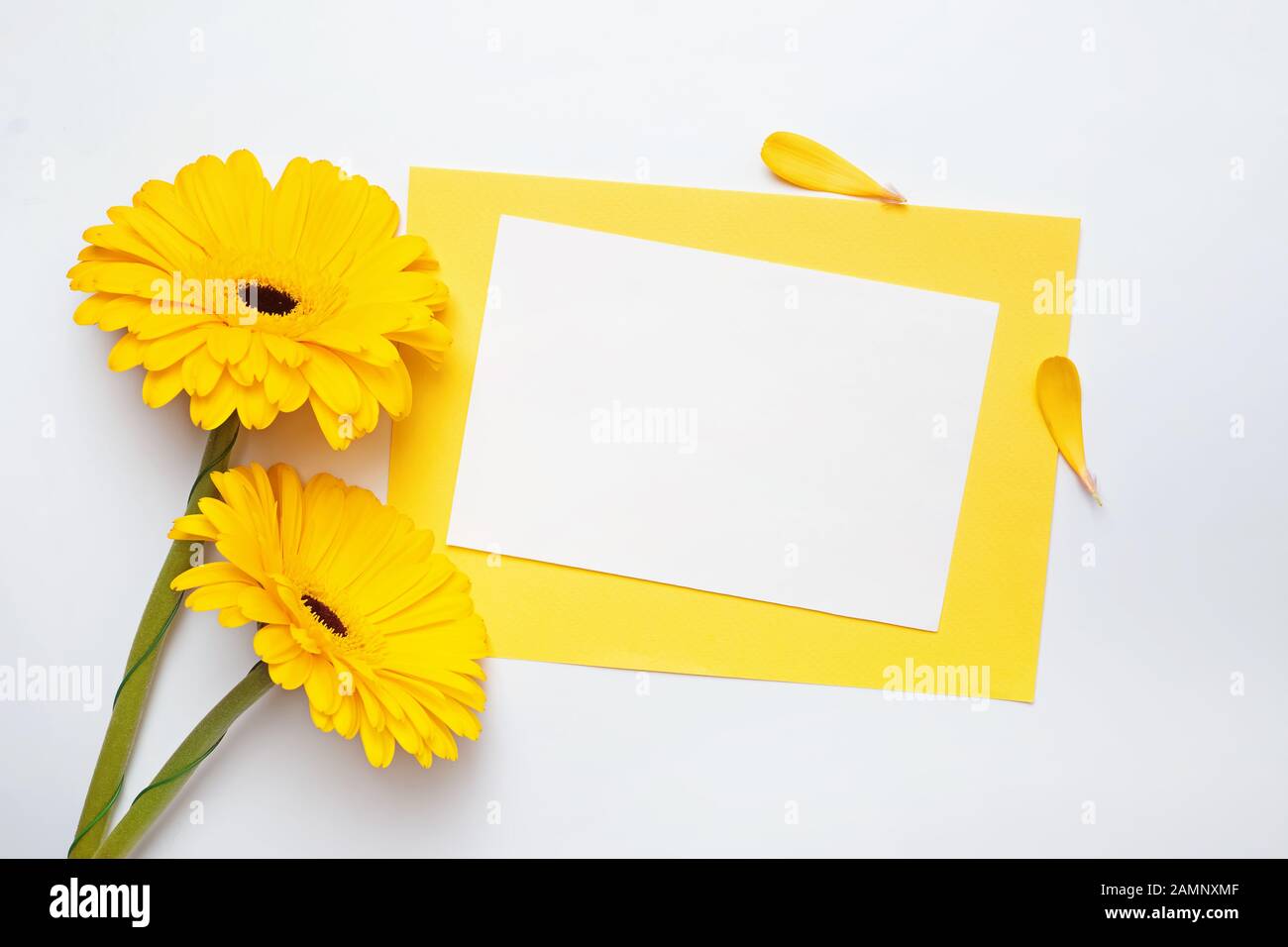 Blank paper card hi-res stock photography and images - Alamy